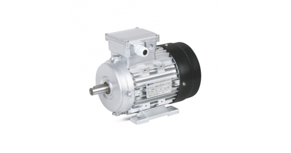 AC motor MSW series | www.AutomationExpo.com AC motor MSW series | www.AutomationExpo.com